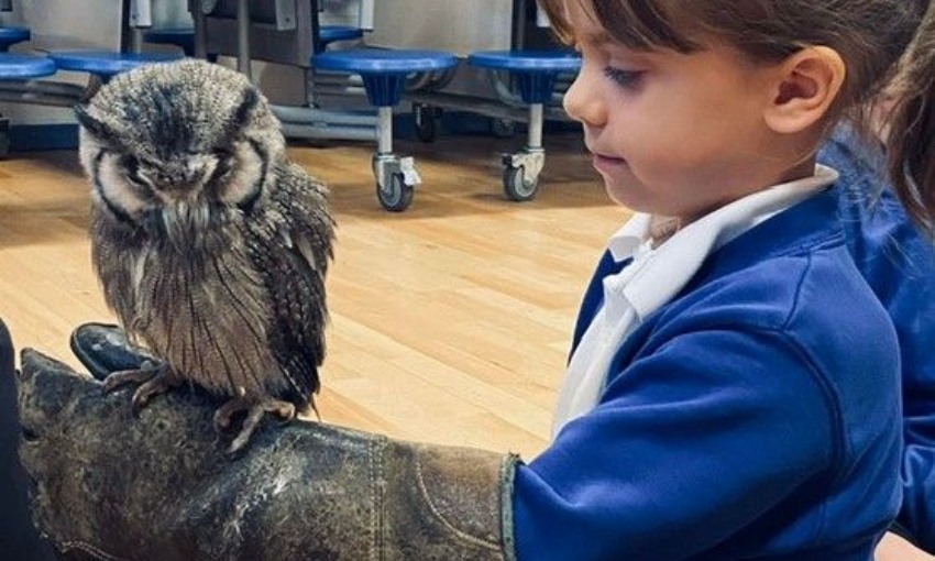 Pepper Hill School - Year 1 and Year 2 Visit